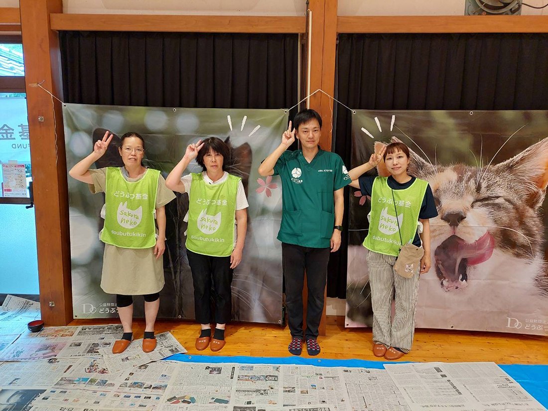 TNR活動紹介です(=^・^=)｜NPO法人あおぞら