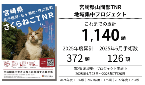 TNR活動紹介です(=^・^=)｜NPO法人あおぞら