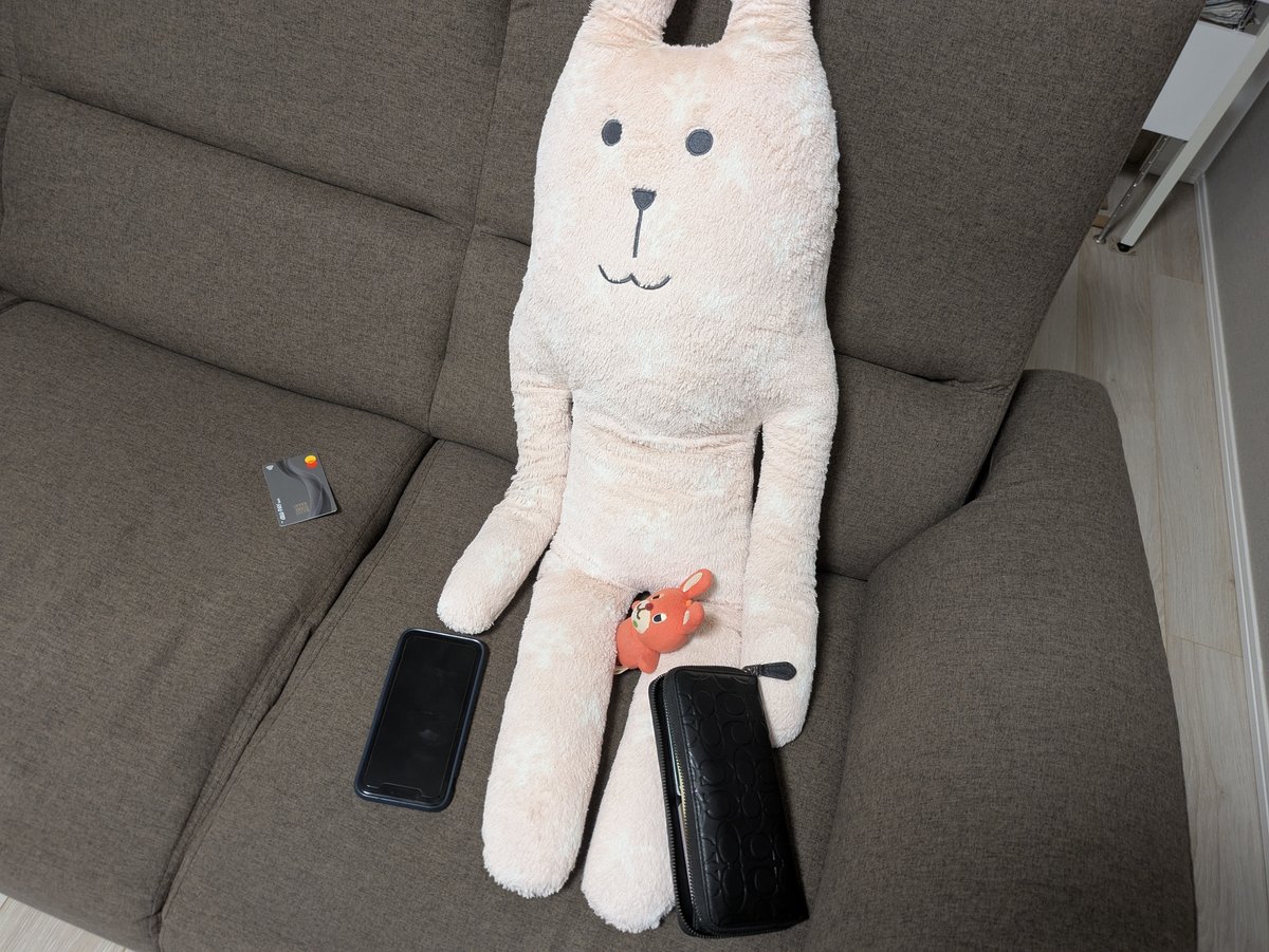 トイ・ストーリー現象！｜arinco_house202