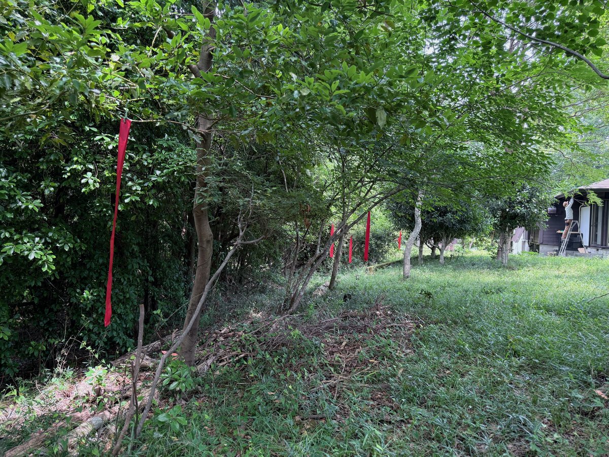 セカンドハウス 『夏支度 前編』｜季節花人 | Shoko Kondo