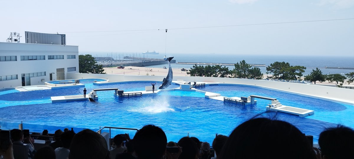 須磨シーワールドに行った｜yocco/手帳とノート、私の頭の中のあれこれ。