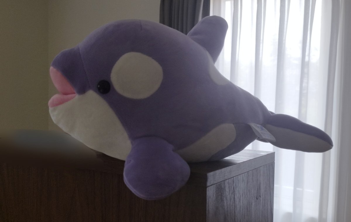 須磨シーワールドに行った｜yocco/手帳とノート、私の頭の中のあれこれ。