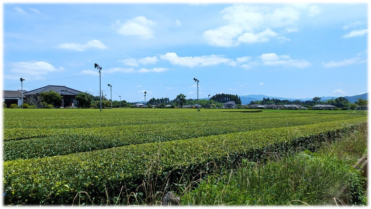 「芙蓉部隊」と本物のプロフェッショナリズム｜ISSA