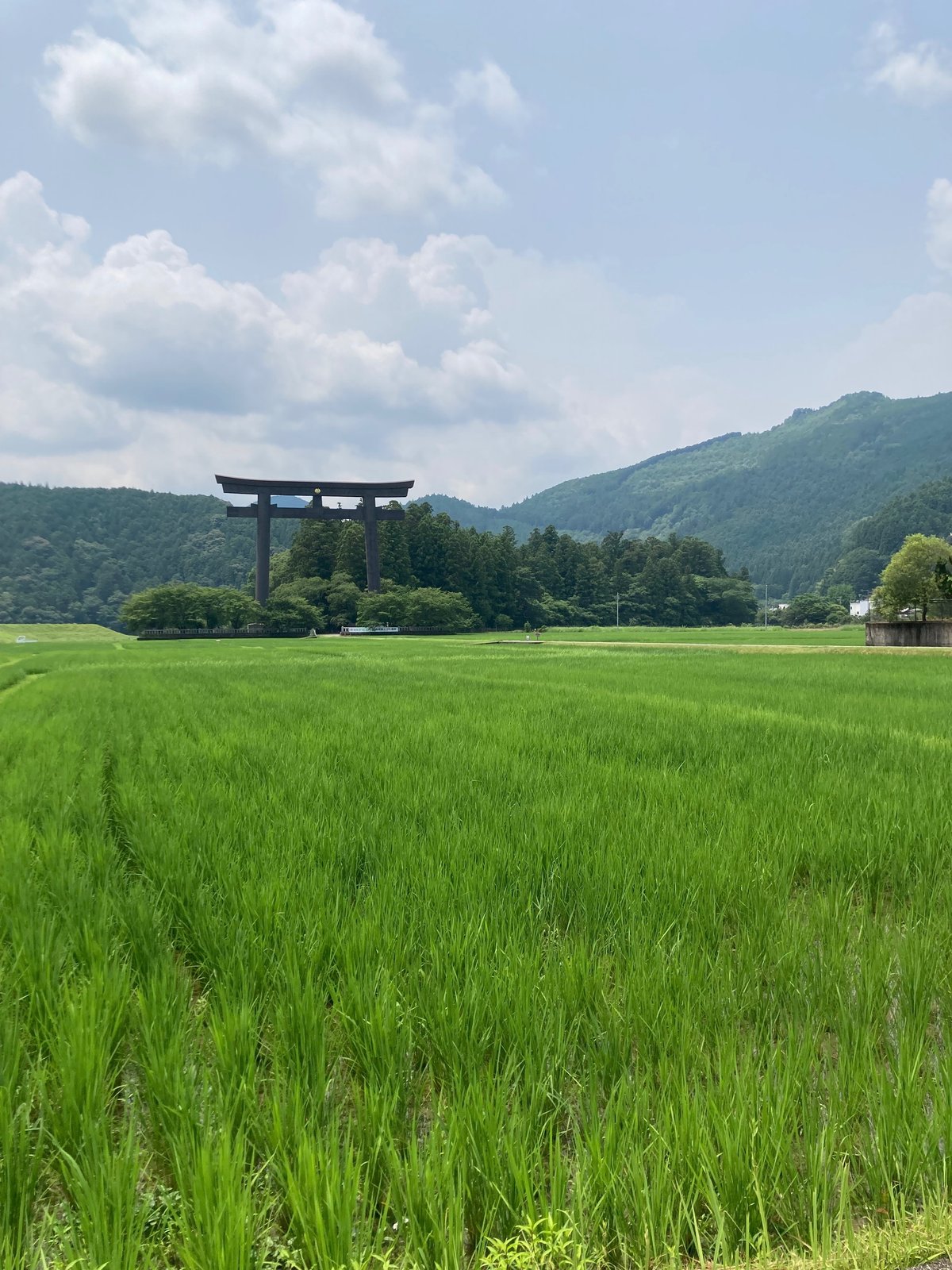 【旅日記＃1】熊野三社参り（和歌山県） 過去・現在・未来の幸福を願う旅｜yolico
