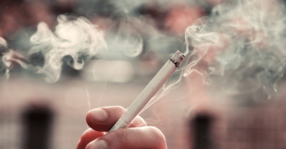 CRDPで楽しむ“ブリブリ”アクティビティ7選｜DICE