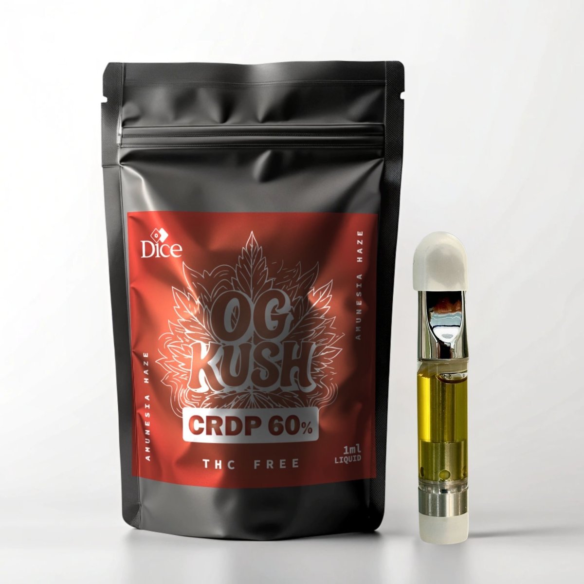 CRDPで楽しむ“ブリブリ”アクティビティ7選｜DICE