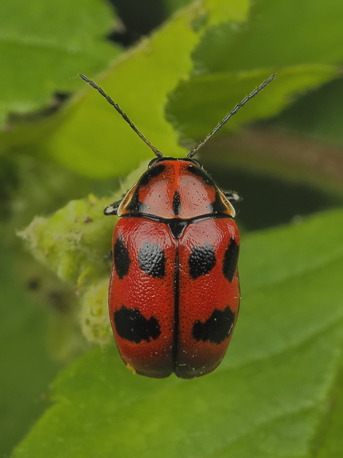 偶然は必然｜Hirokazu Nakao