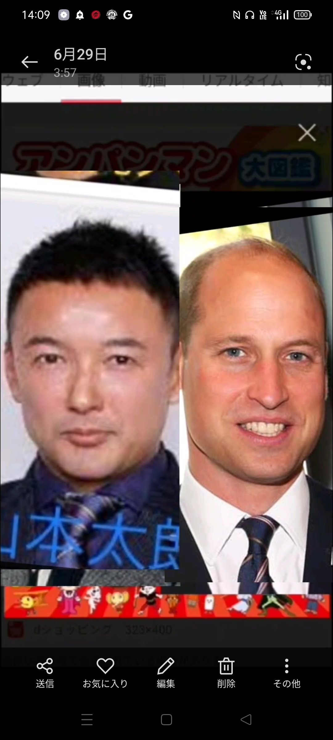 トランプ派は参政党と日本保守党｜YosUke HaRaDa