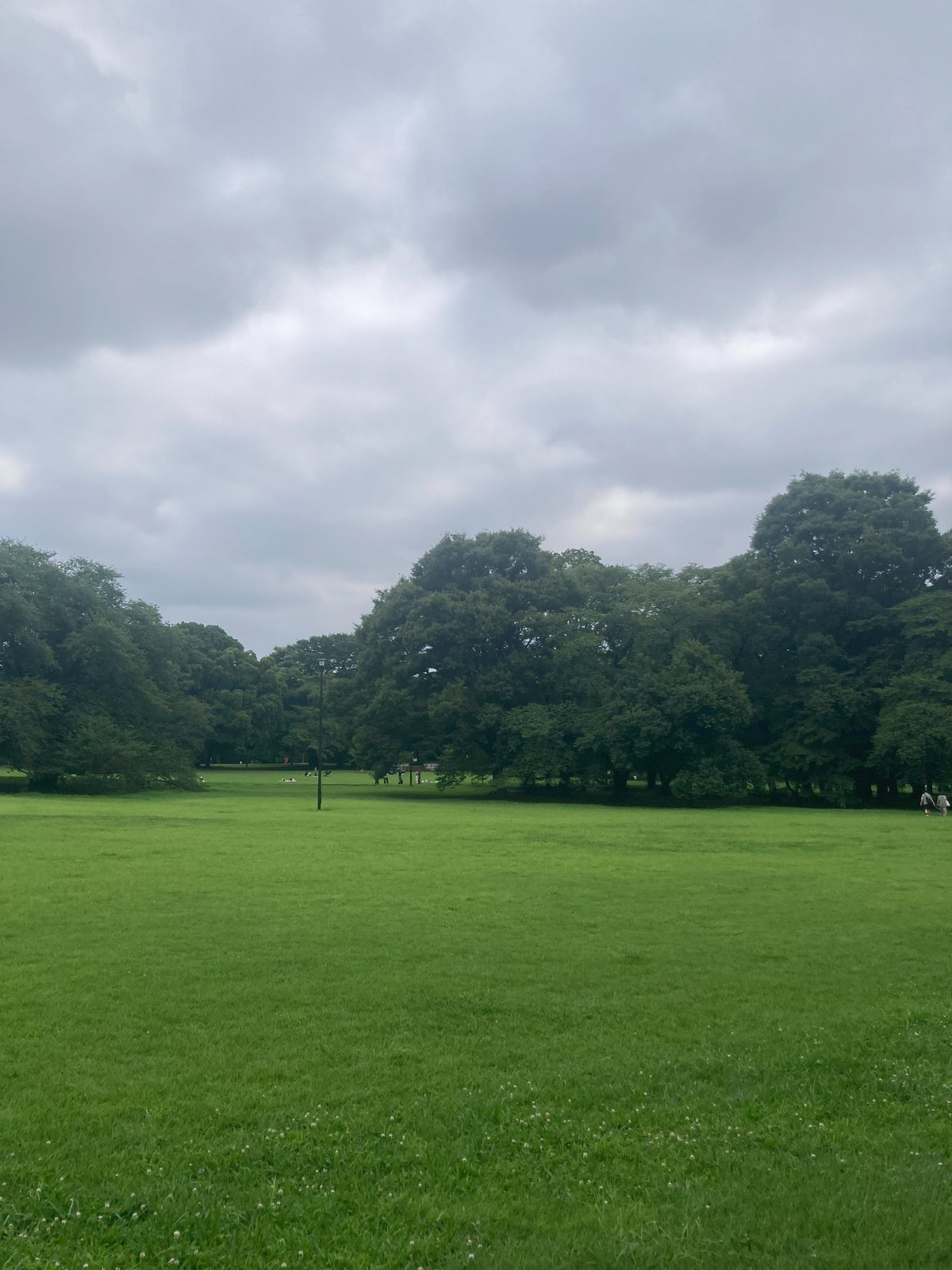 2025年7月MDC観戦｜nobby shimada