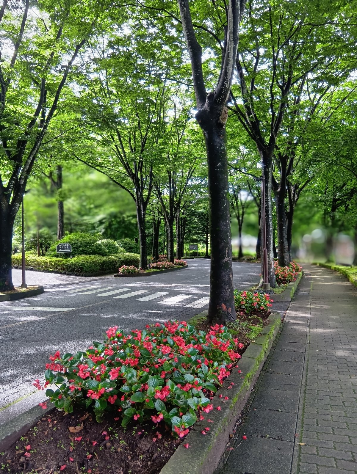 ピアノの先生への悩み④ piano restart ｜workma