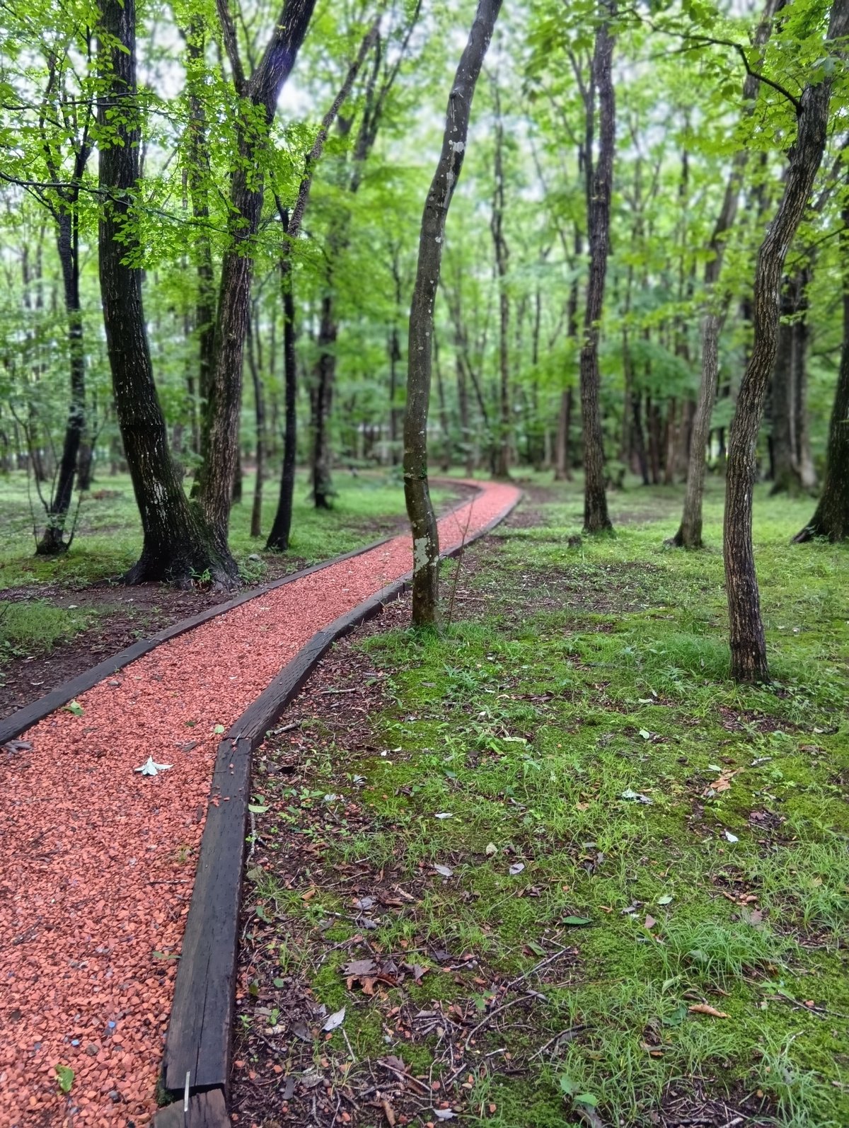 ピアノの先生への悩み④ piano restart ｜workma