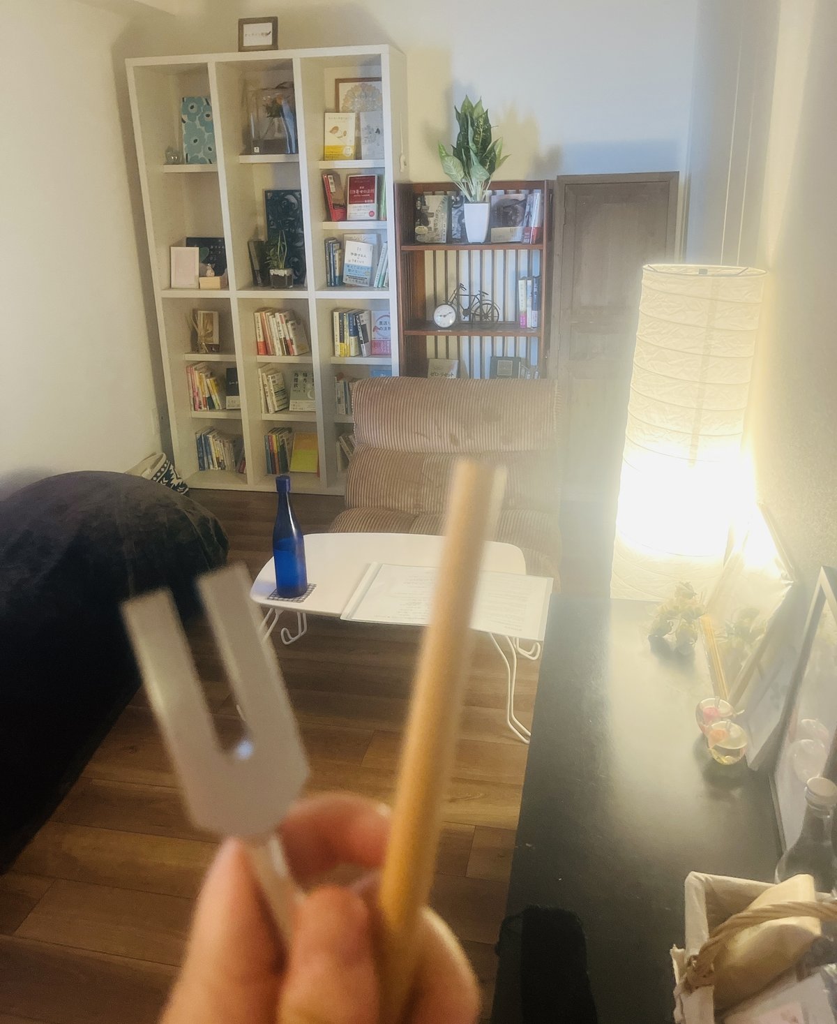 存在してくれてありがとう｜🌱𝕂𝔸ℤ𝕌𝕂𝕆🌱