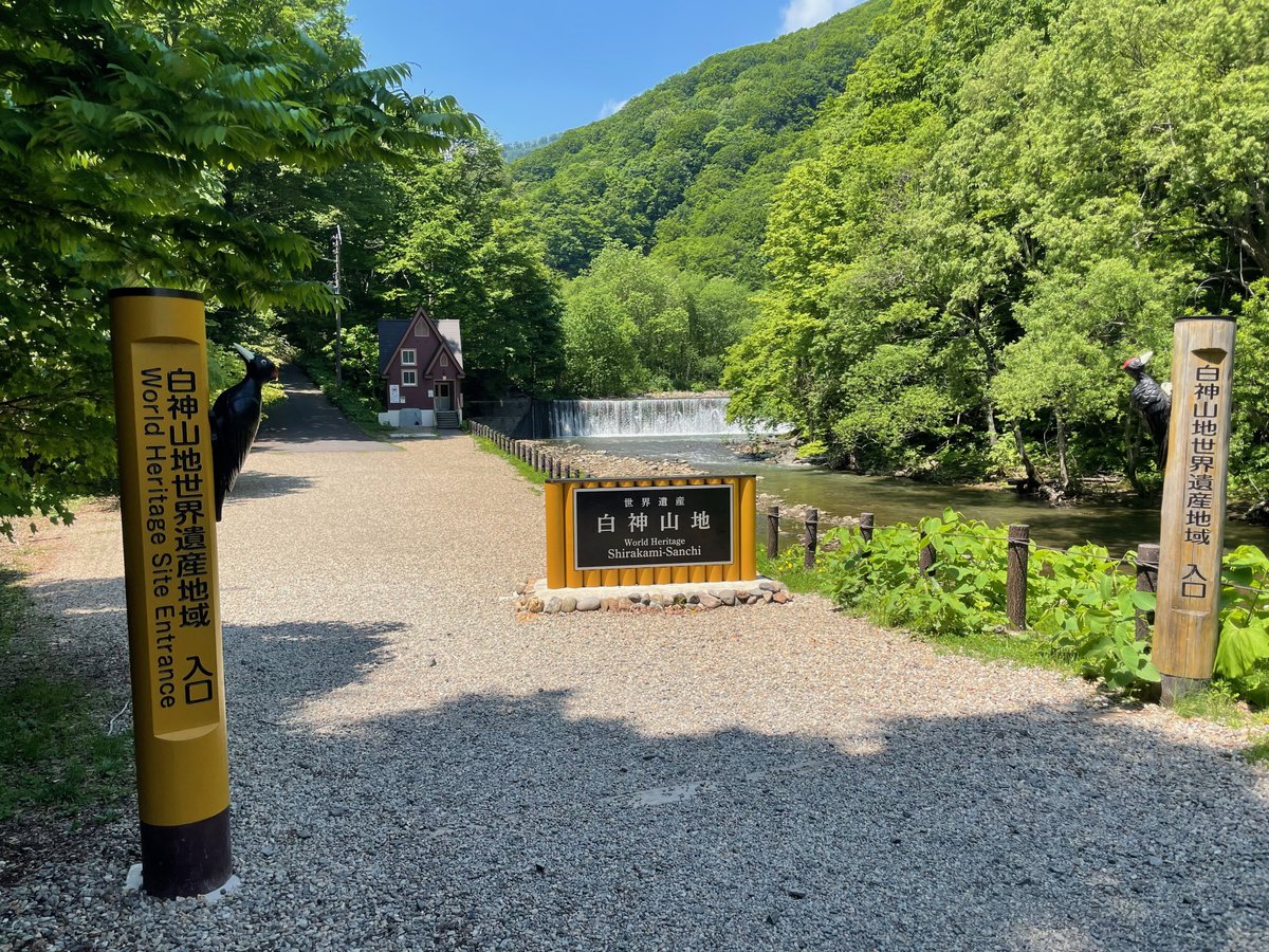 アクセスしづらい広大な世界遺産「白神山地」訪問レポ!!｜prism777