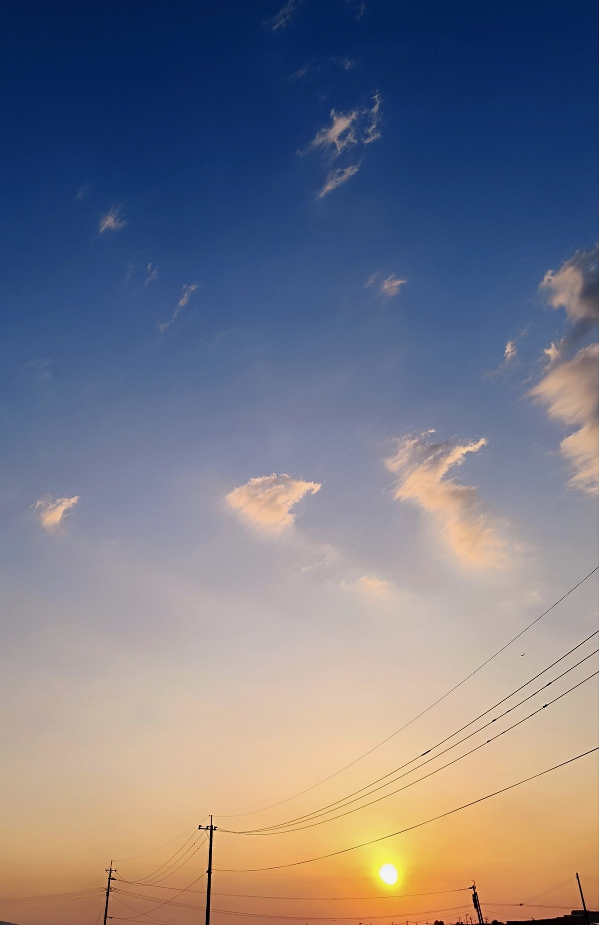 おつかれSummer｜sora_purecolor