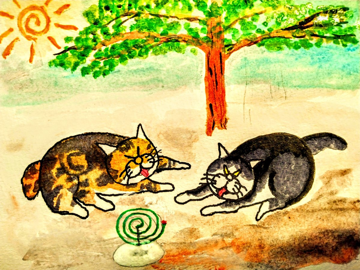 とりあえず、猛暑なり。｜Y Harada