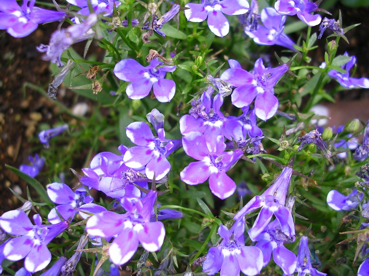 ページタイトル用｜MITSUDA Tetsuo