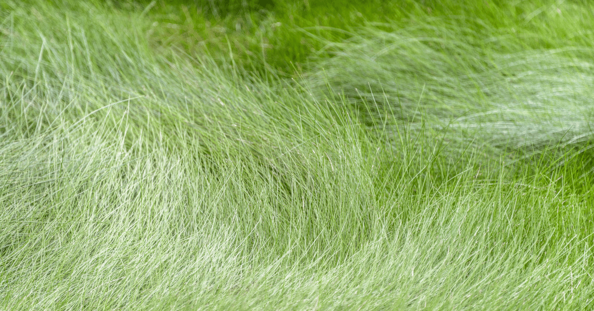 風と土を行き来してー最初の3年で見えたこと｜原口瑛子｜EIKO HARAGUCHI