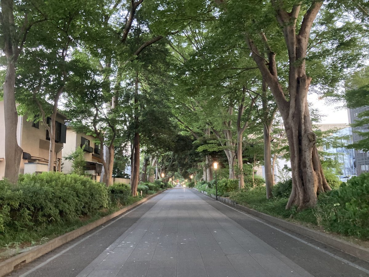 図書館と参道を拠点とする、さいたま市・大宮のまちの魅力｜Taiyo Ishikawa