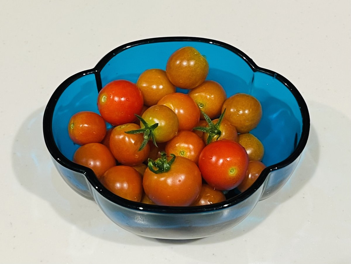 【薬膳】トマト｜CHIZUKO i