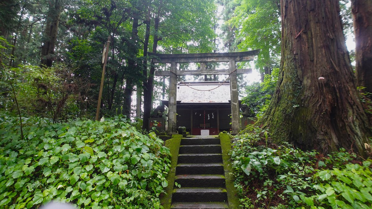 【日光】地元推し 日光おすすめスポットVol.2 日光杉並木｜Nikko Fuji