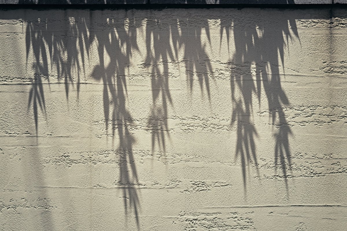 無理やりスナップ写真を撮ってみた｜Tosano / Koji Chikazawa