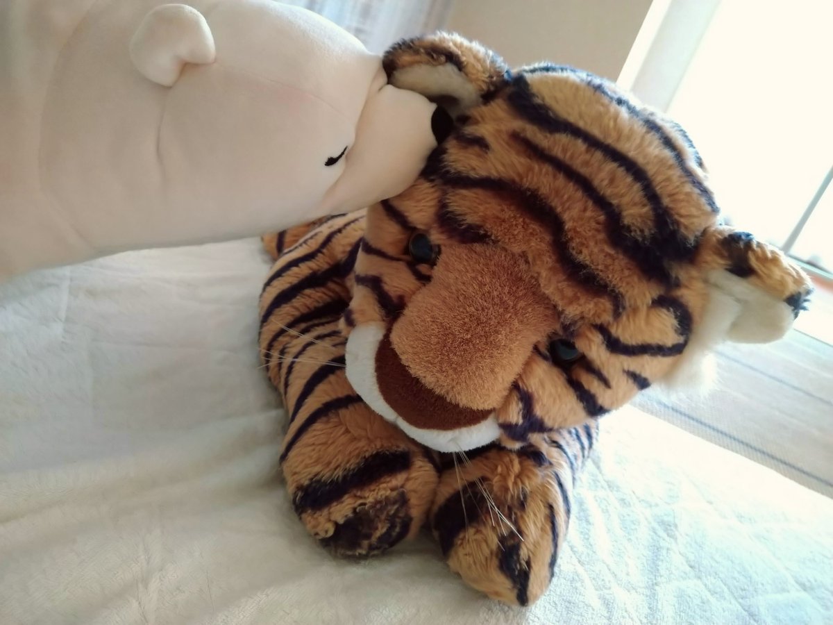 トイ・ストーリー現象！｜arinco_house202