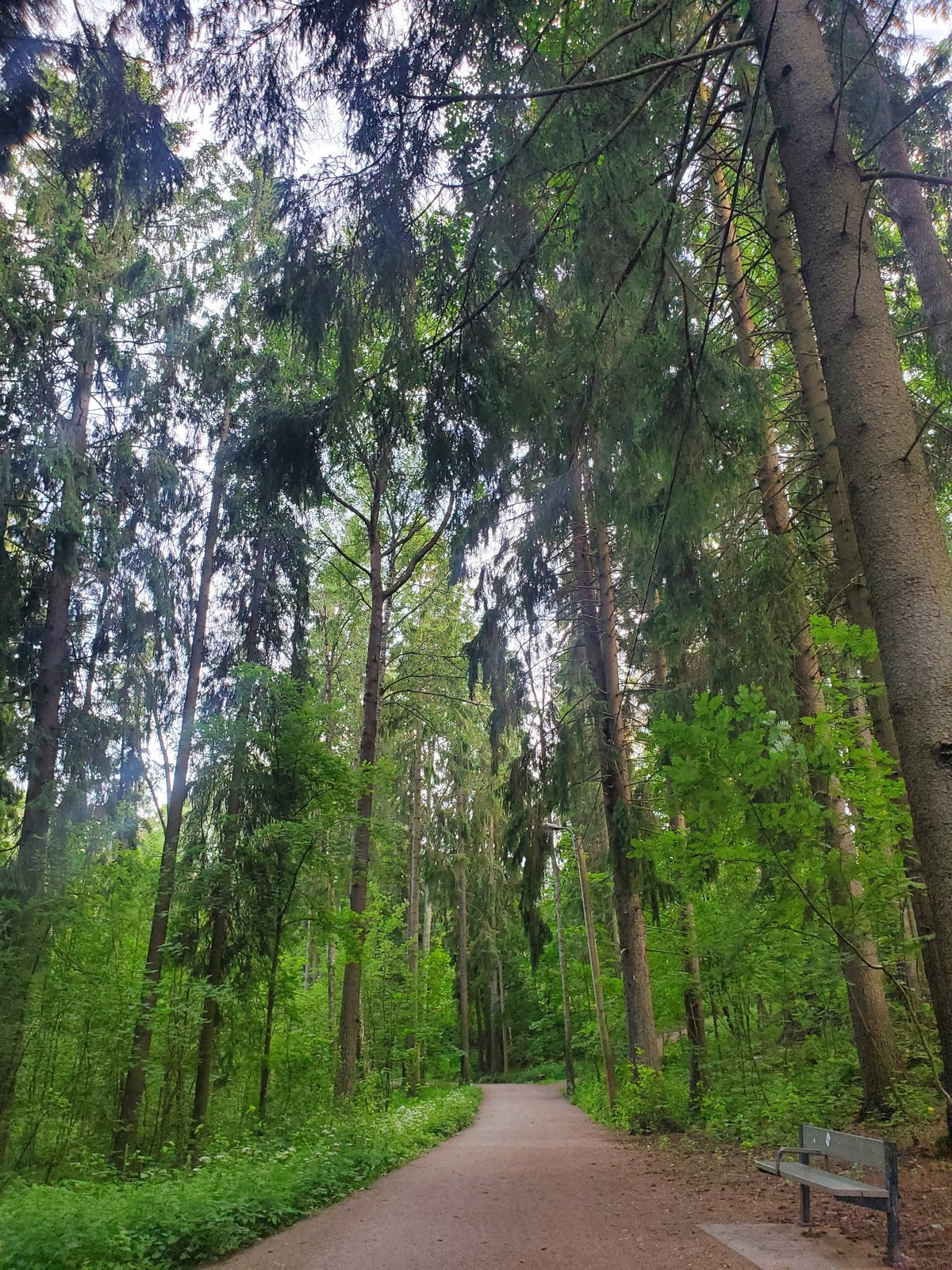 フィンランドで考える日本語の豊かさ｜Matti