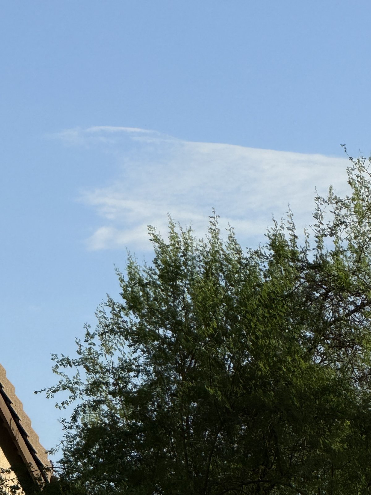 #394 ククリ姫と龍さんと私の話しをします｜白龍さんといっしょ