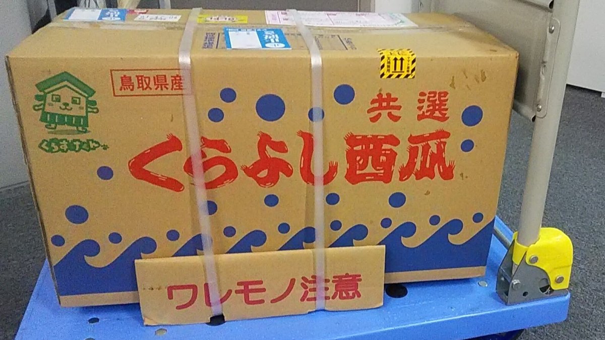 一本どっこの宮さんからの贈り物｜JRDB 競馬アラカルト
