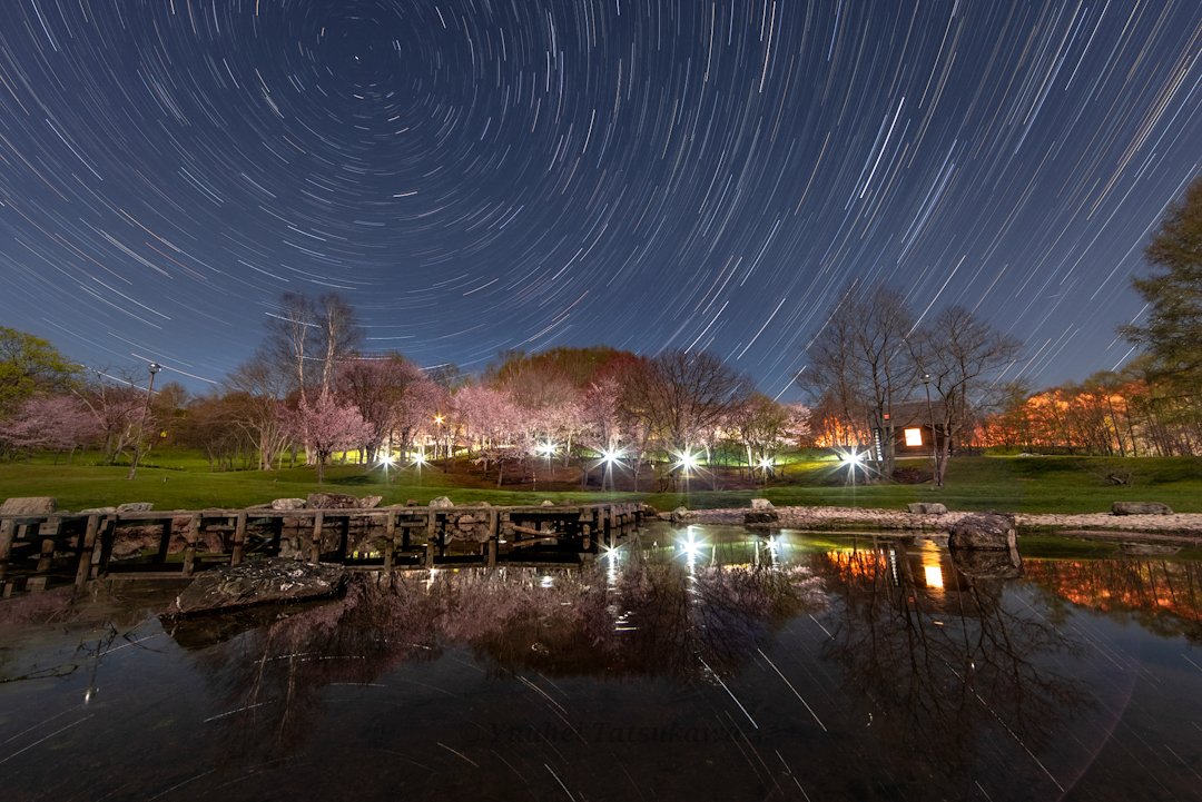 「白い月と、白いシカ再会、そして新たな出会い」｜龍川 悠平/Yuuhei Tatsukawa