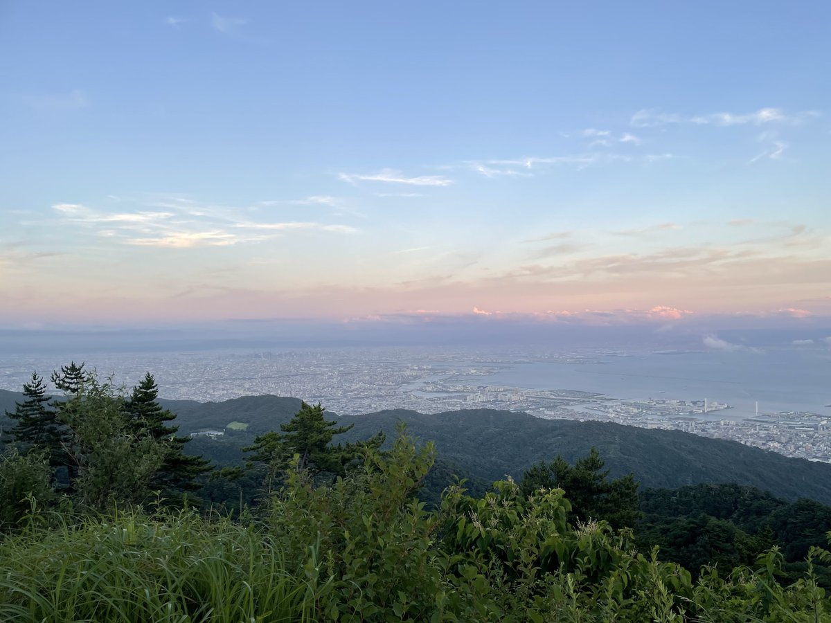 #8:私のルーツ④オダギリジョーとin大阪、初マスカラはKO負け｜綴り手