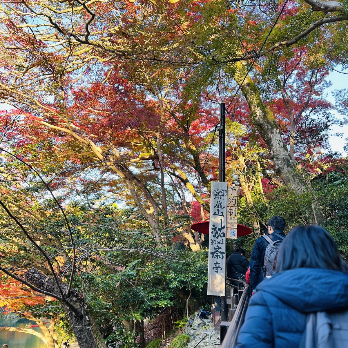 紅葉に魅せられた秋の京都旅2024を振り返る。Part2｜mizu