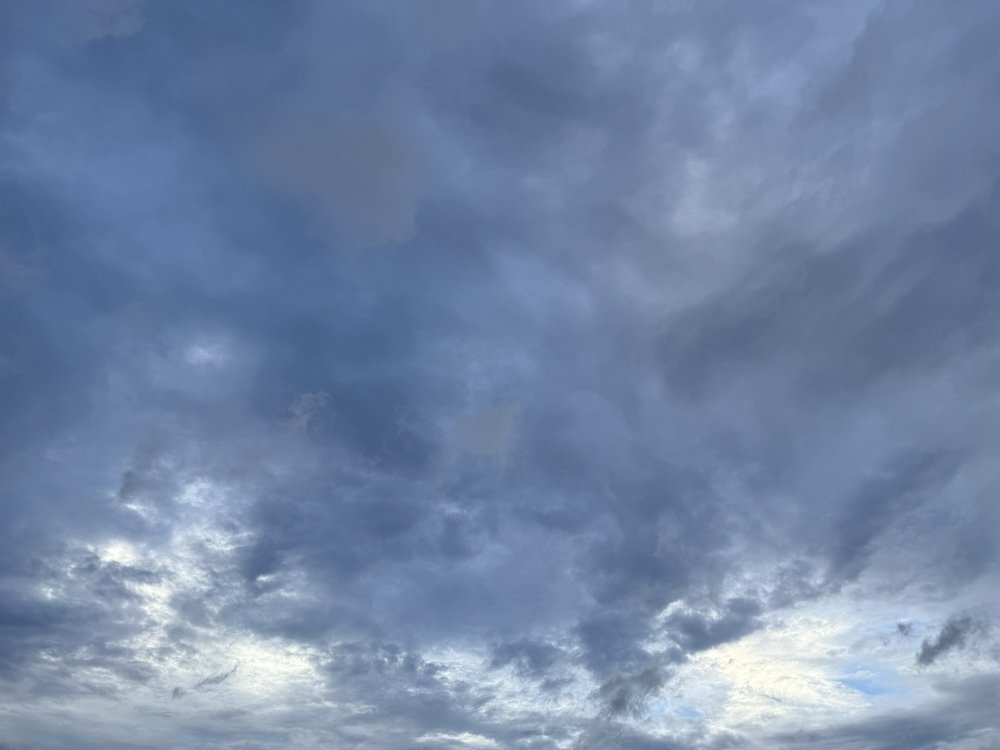 空を見上げる No.77｜happea-nyanko