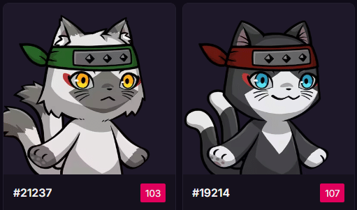 【完全保存版】CNPを1200日見てきた16snowが解説、絶対欲しくなる人気CNP個体紹介｜16snow【ひろゆき】