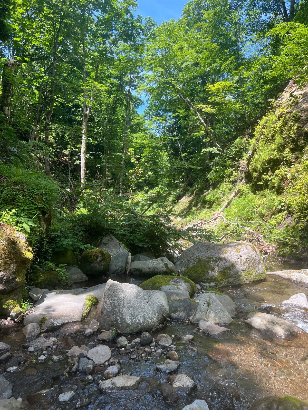 撮りたいものは、撮れるうちに。｜Negi Asatsuki