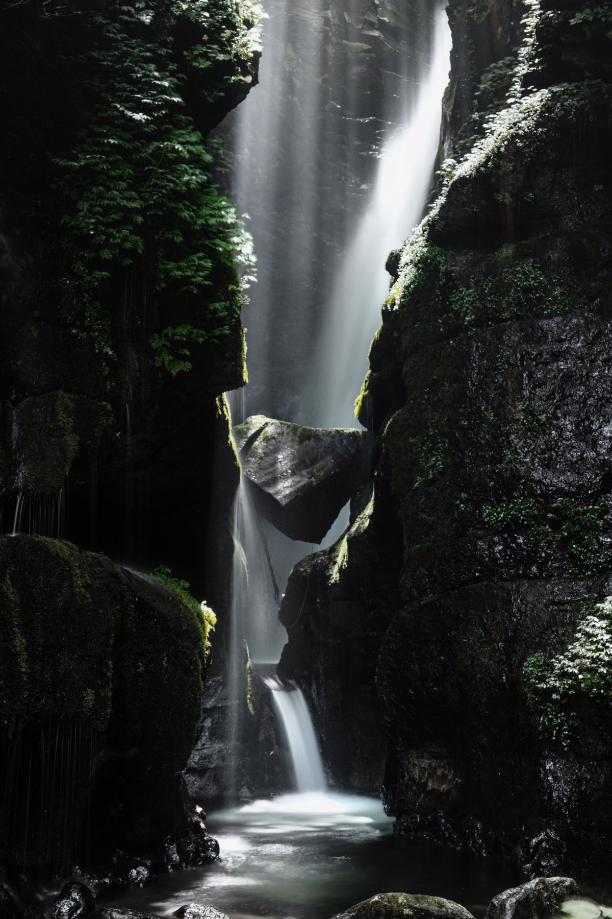 撮りたいものは、撮れるうちに。｜Negi Asatsuki