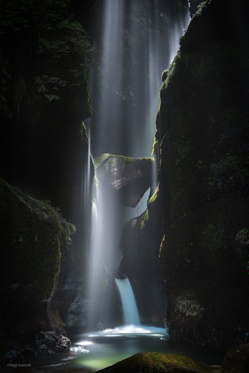 撮りたいものは、撮れるうちに。｜Negi Asatsuki