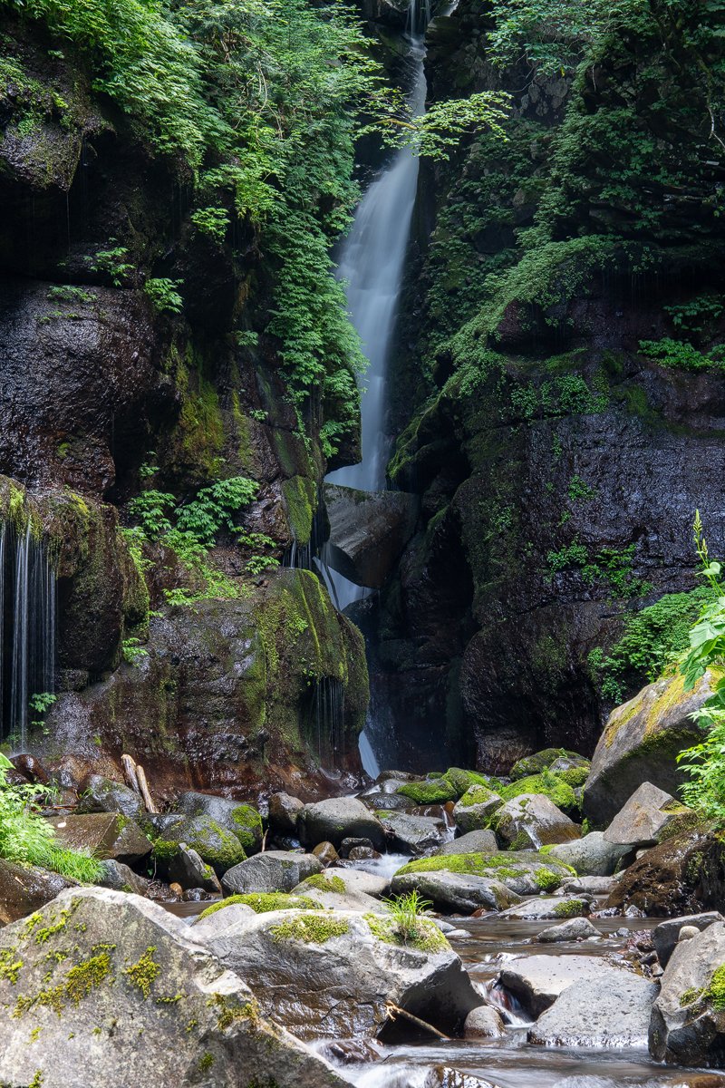 撮りたいものは、撮れるうちに。｜Negi Asatsuki