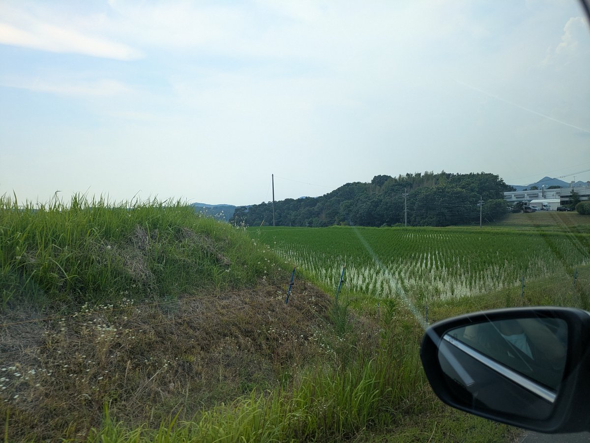 田尻農園草取物語 ～草取りの先に見えた、義侠の向こう側～｜IMADEYA MAGAZINE