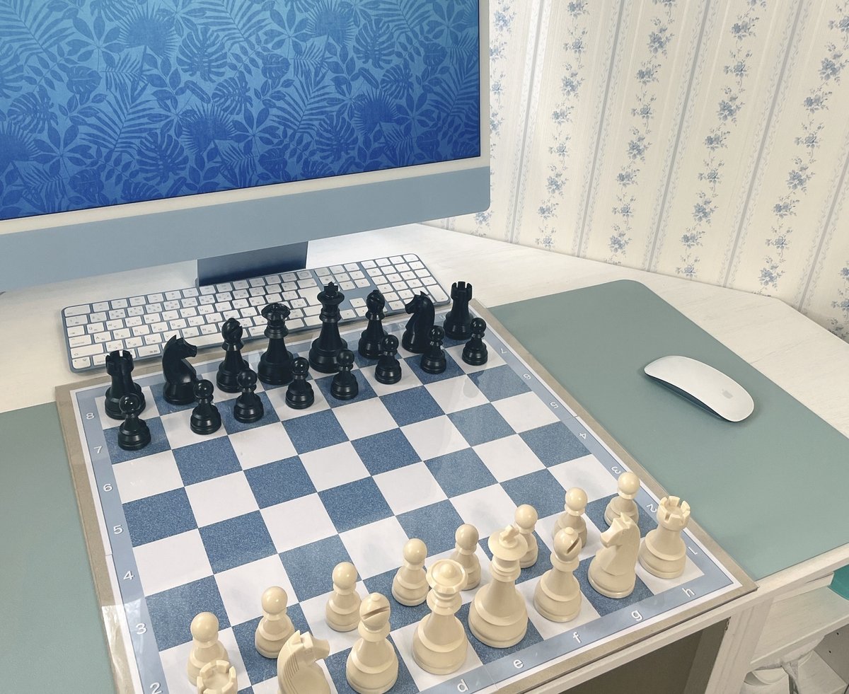 チェスを始めたばかりの皆さんへ｜青緑 空