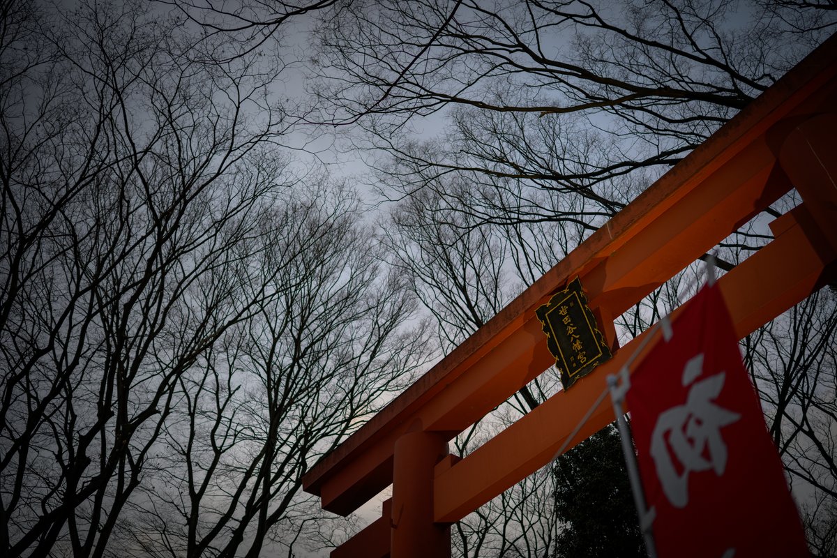 東京散歩 豪徳寺｜krd@style89