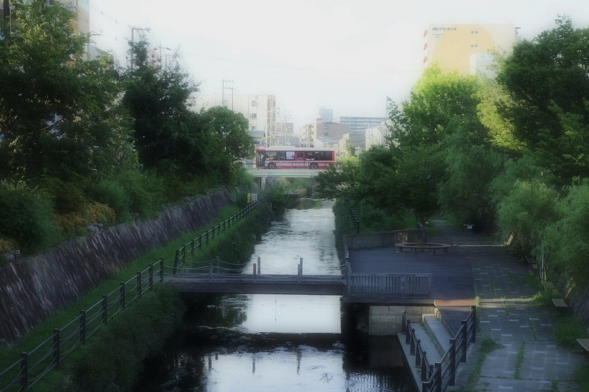 見事な構図で撮りやがる｜takahiro mori