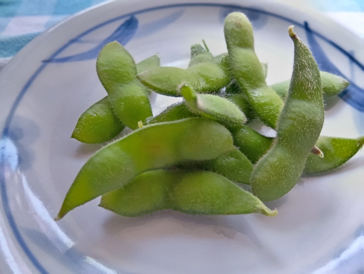 ちいさな楽園②｜workma