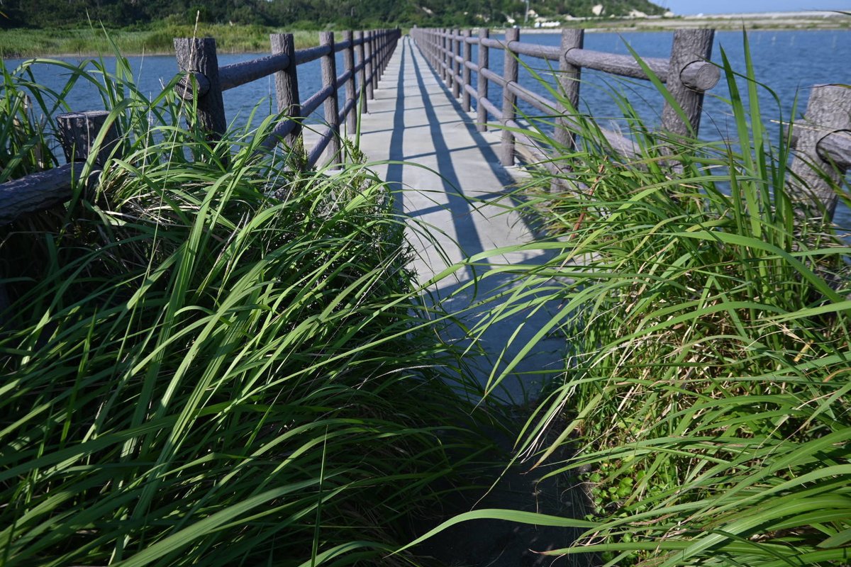 ただ、感じに来ただけ｜現在地＃01｜tomoya okoshi