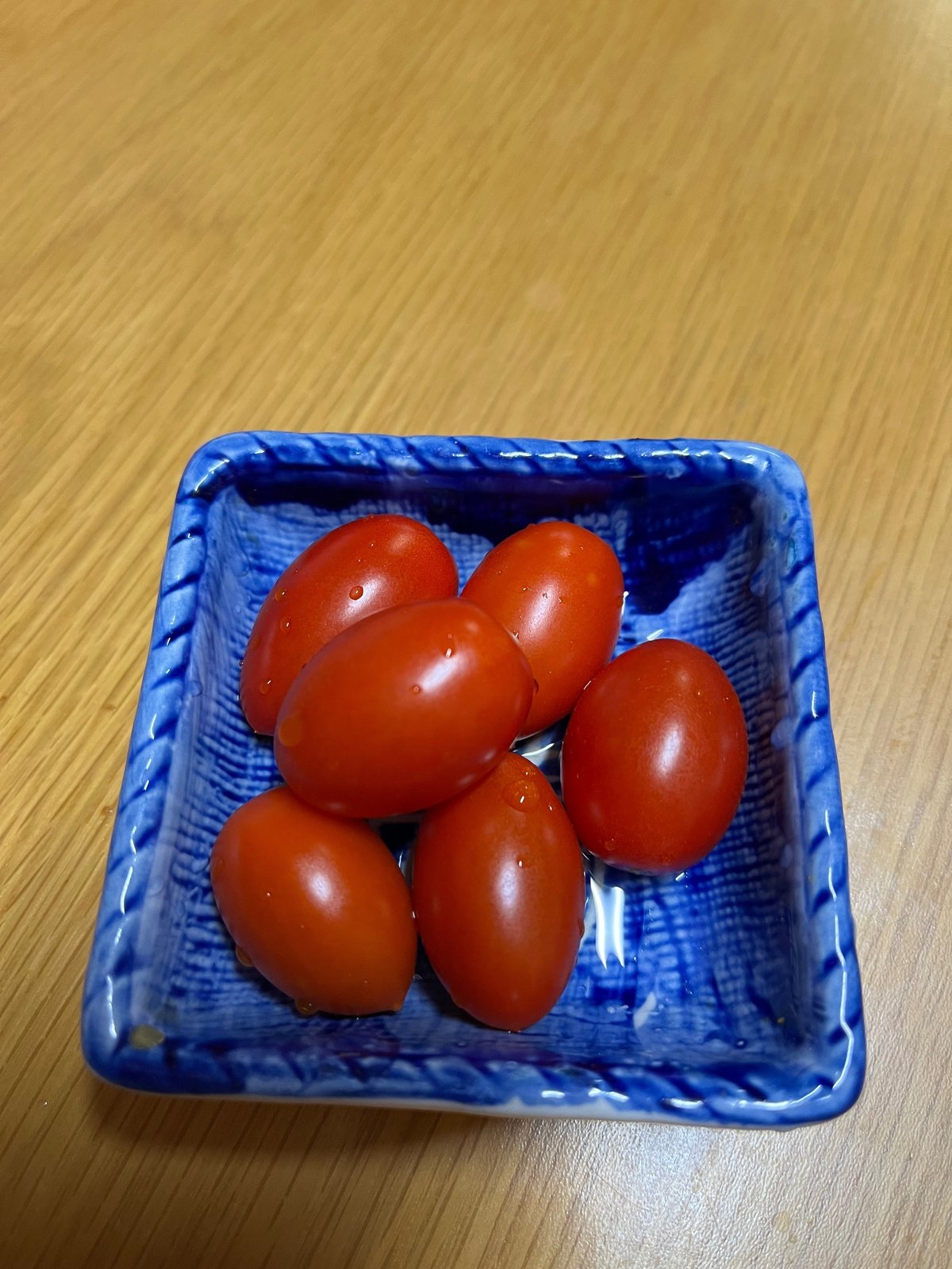 パクチー（コリアンダー）🌿｜kitoca