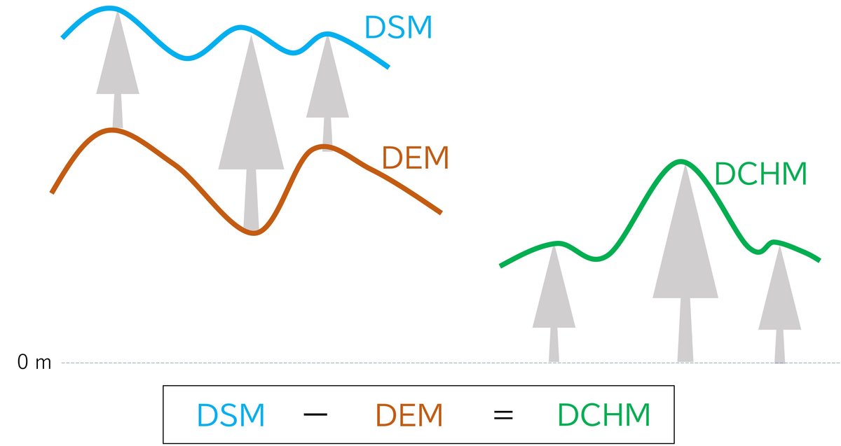 RTKドローンで得たDSMからDCHMを作成（QGIS 3.40.8）｜Clino