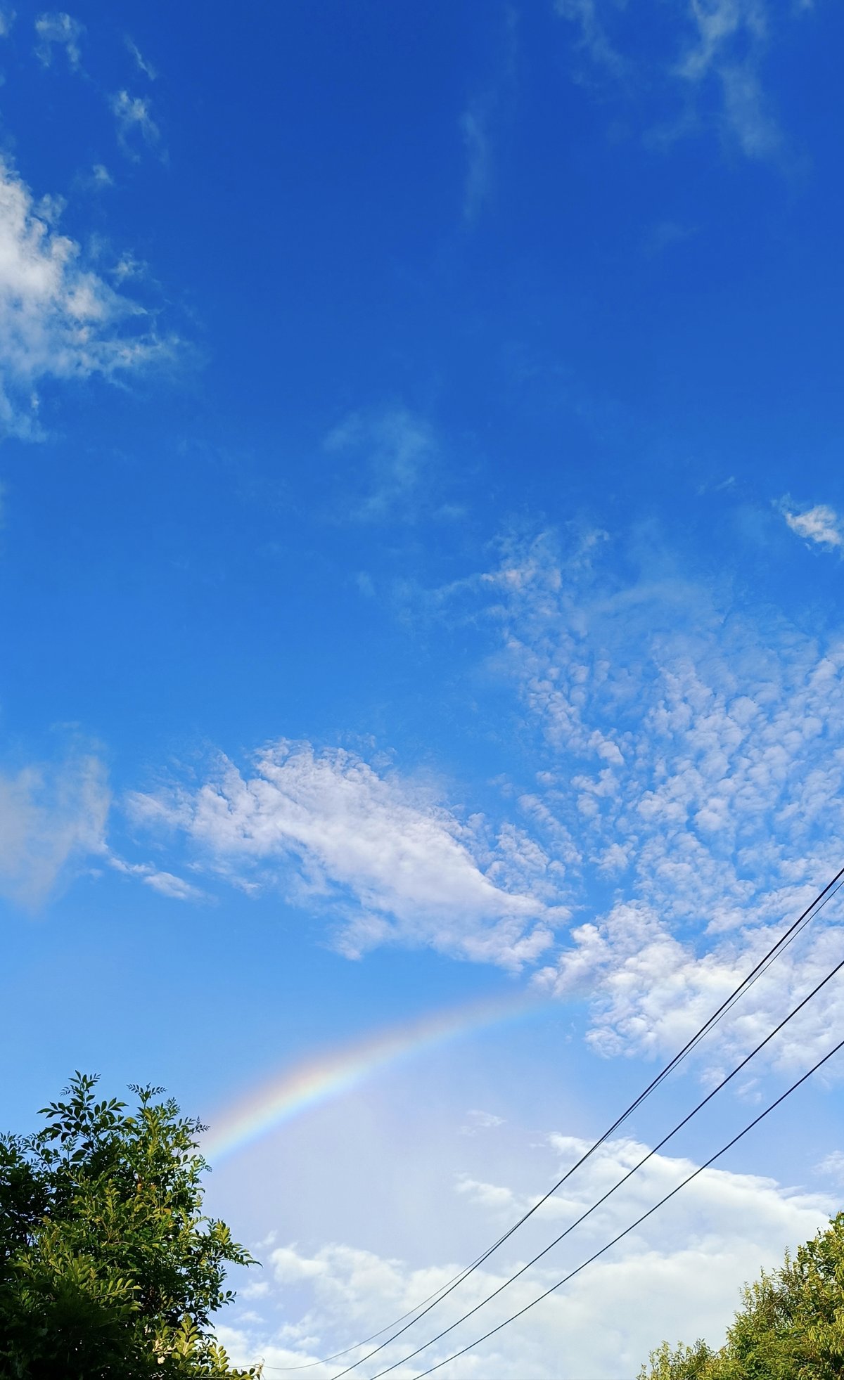 虹の彼方へ…｜sora_purecolor