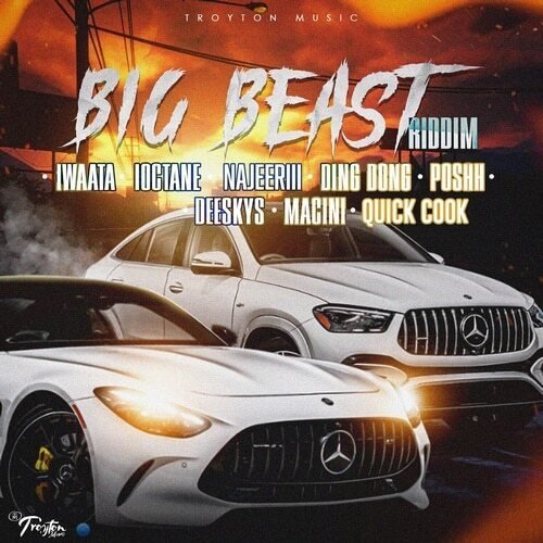 【今月の気になるリディム】Big Beast Riddim ― 野性味全開、ドラムで踊らせるラフなダンスホール！｜HASE-T