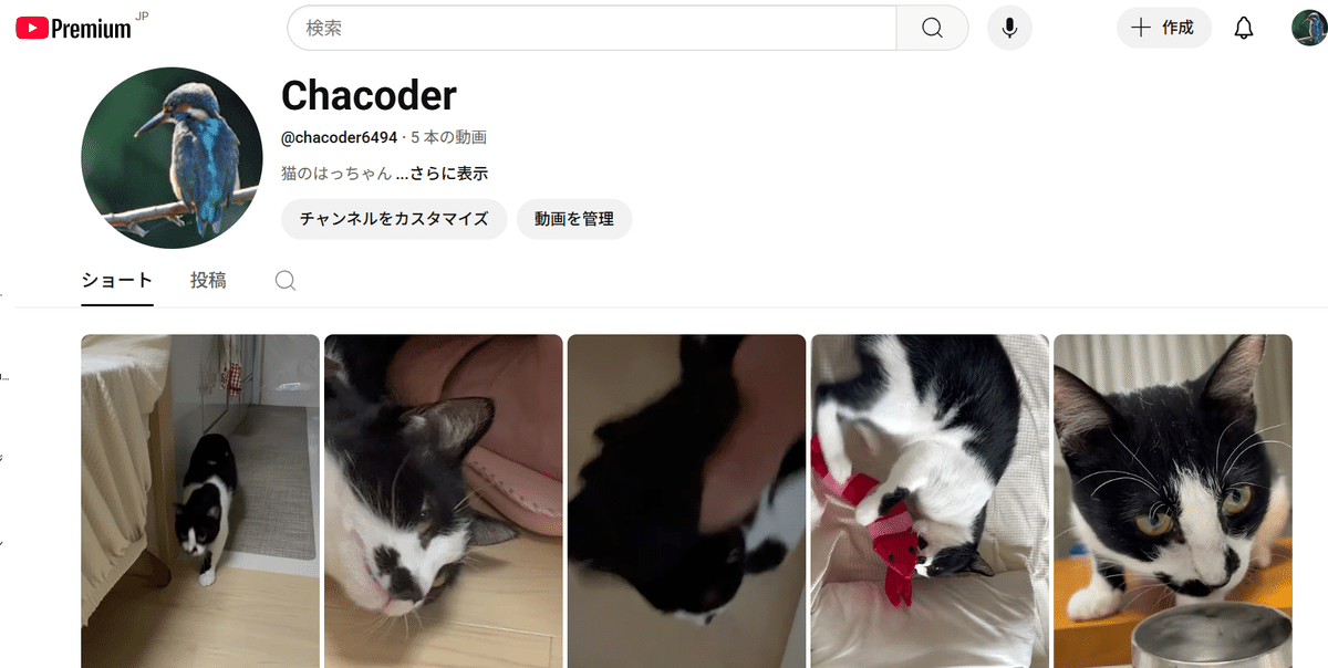 YOUTUBEデビュー？｜Chacoder