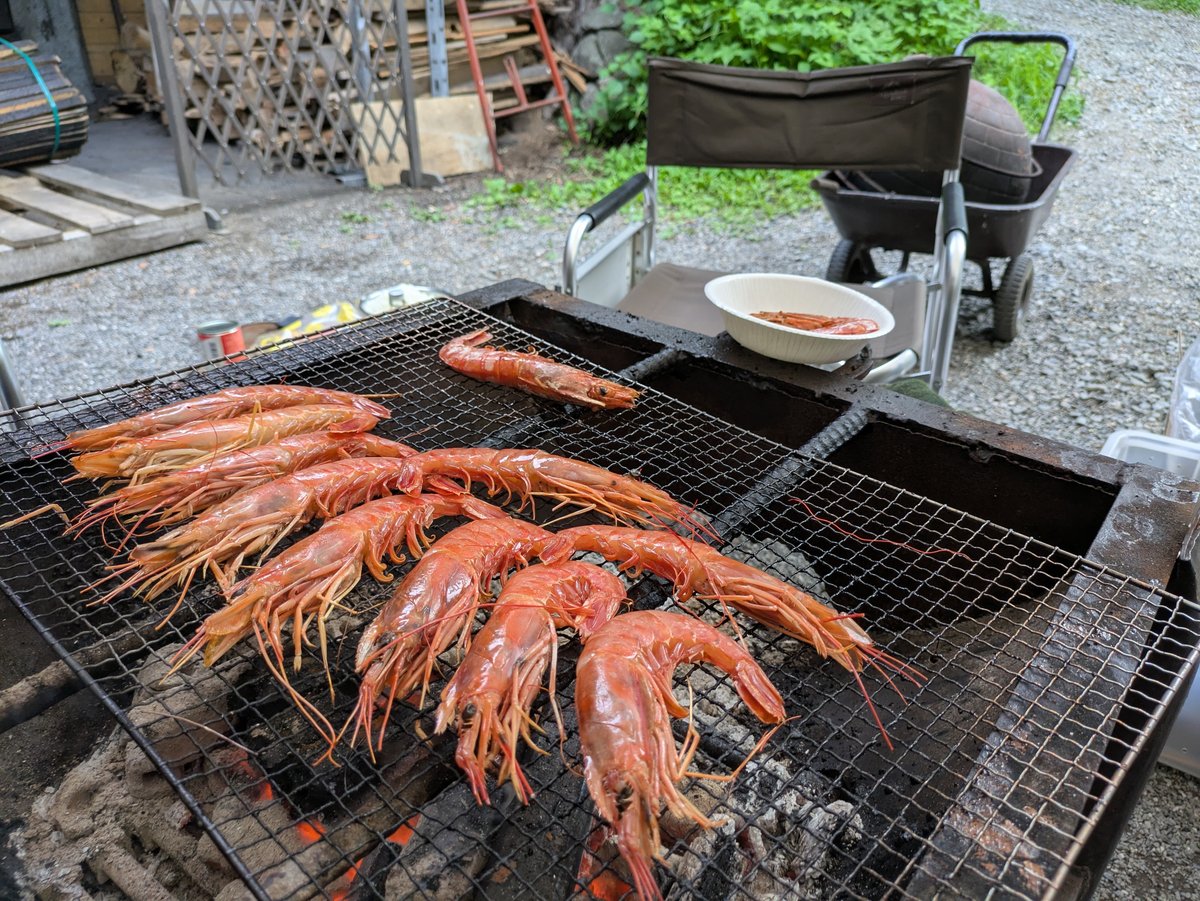 bukatsu_campでキャンプに行ってきたよ！(2025年版)｜MNTSQ株式会社